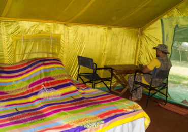 Gallery – Dudhwa National Park